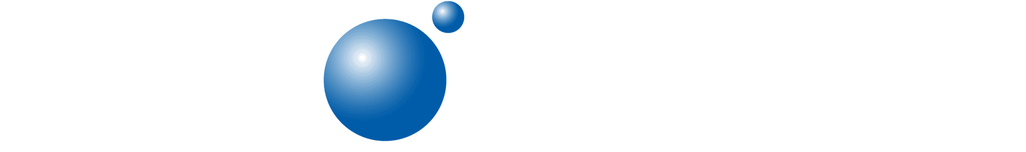 Seiko Instruments - Semitron W. Röck GmbH